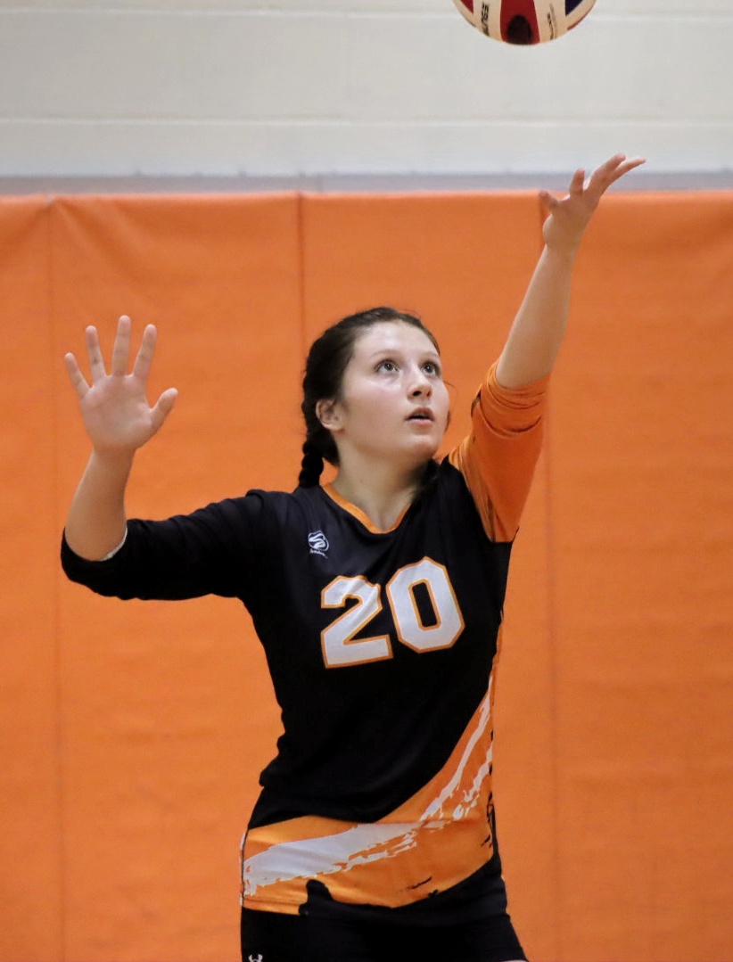 Wolverines roll | News, Sports, Jobs - Times Observer